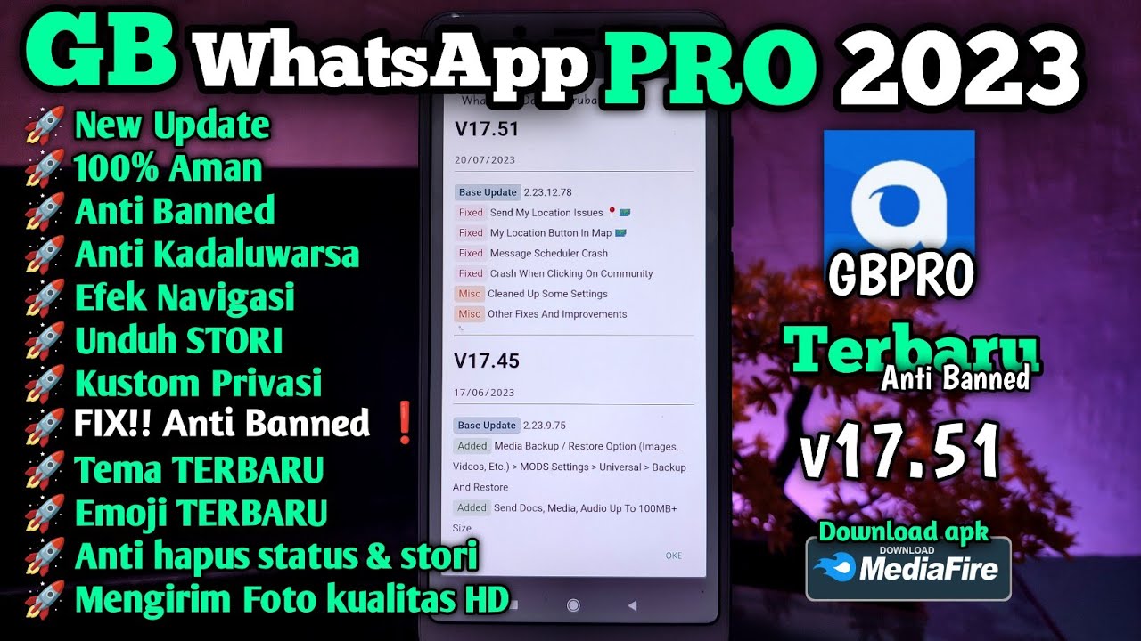GBWhatsApp Pro new version - GBWhatsApp Pro v17.51 New Update 🔥 - YouTube