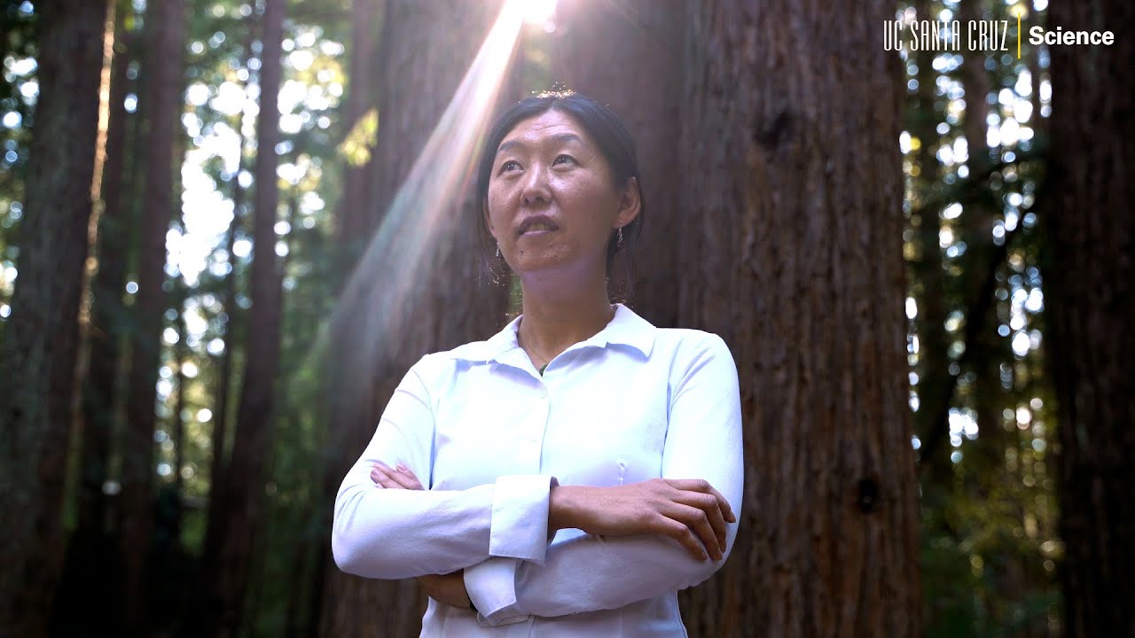 Yi Zuo of MCD Biology at UC Santa Cruz - YouTube