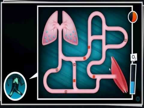 Code Fred: Survival Mode - Playthrough - YouTube