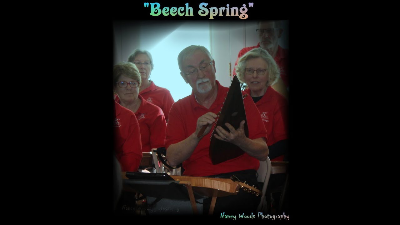 🤩🎶 "Beech Spring" - SoKY HeartStrings - YouTube