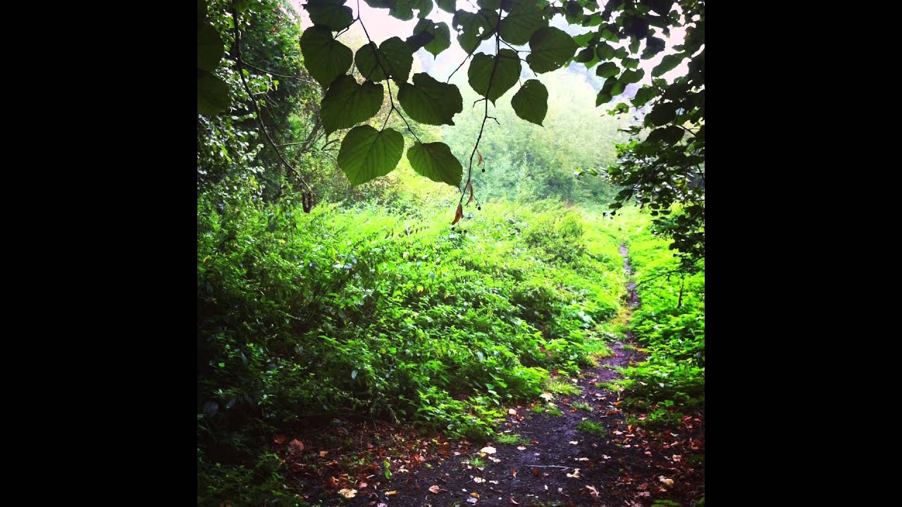 Rain Ballad - Songs for Hampstead - YouTube