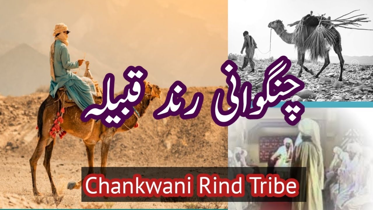 Changwani Rind Baloch Qom Tareekh | History of Baloch tribes in Urdu ...