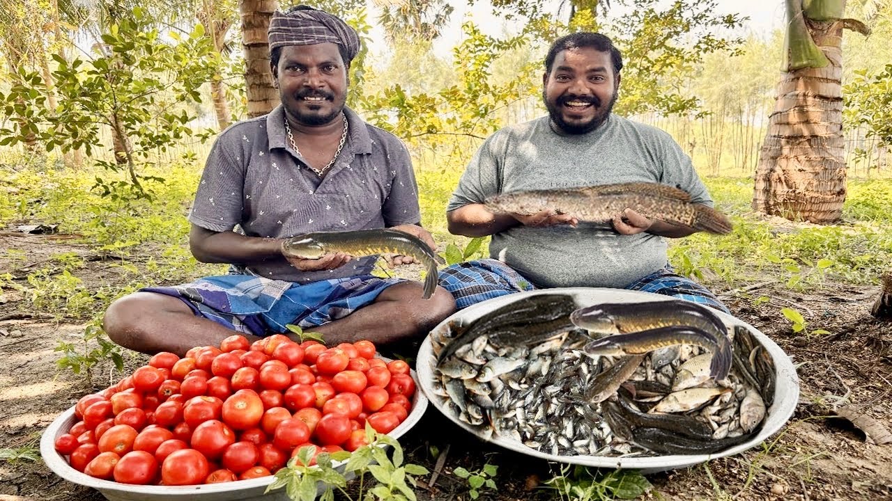VILLAGE KING FISH MURREL FISH | Viral Meen | Pond water Fish Curry ...