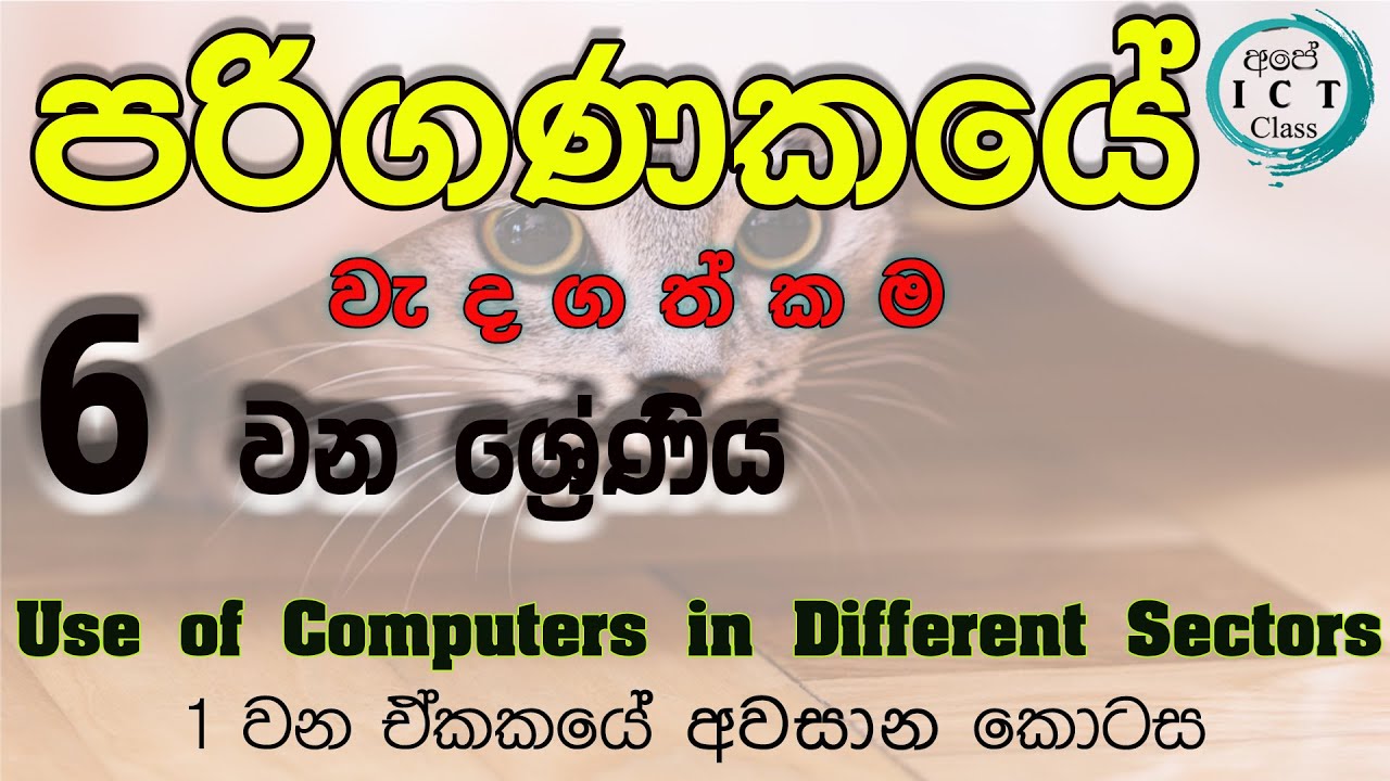 6 වන ශ්‍රේණිය හි පළමු වන පාඩමෙහි අවසාන කොටසයි - Use of Computers in ...