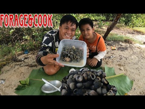 Ginataang Sihi Shells Sa Tanghalian(Forage&Cook) - YouTube