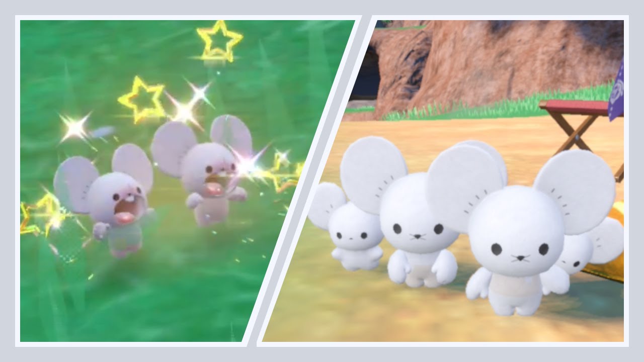 FULL ODDS SHINY MAUSHOLD!! | Pokemon Violet Full Odds SBQ #2 - YouTube