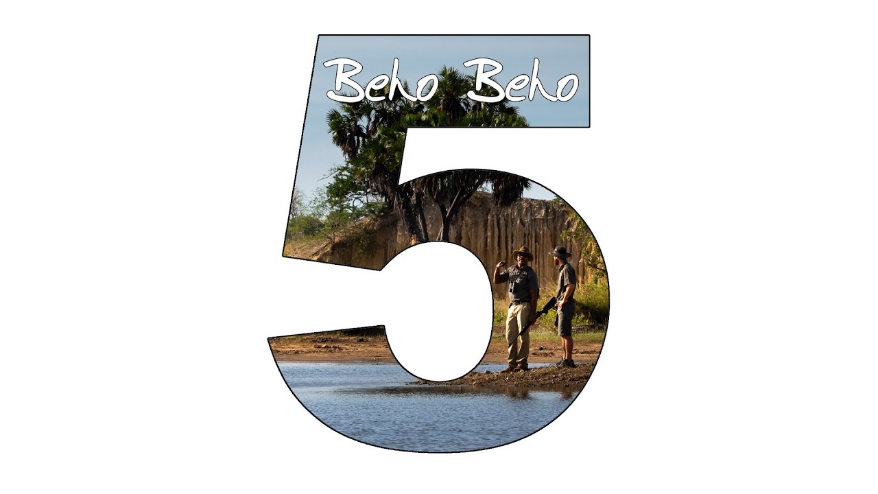 Beho Beho In 5 - Everything you need to know about Beho Beho in 5 ...