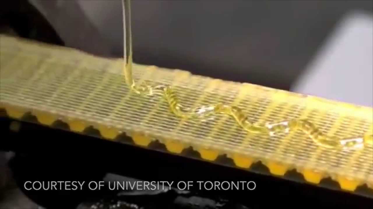 Rope Coiling Effect of Newtonian Fluids - YouTube