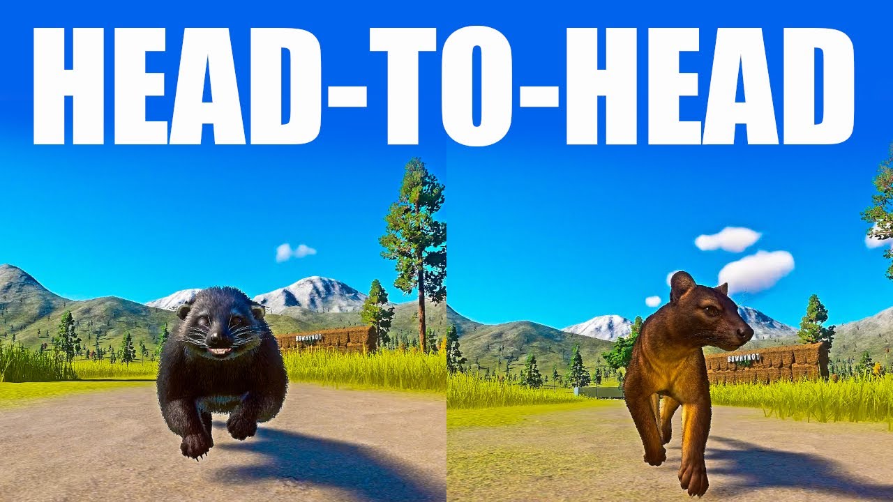 A head to head Speed Race between Fossa and Binturong in Planet Zoo ...