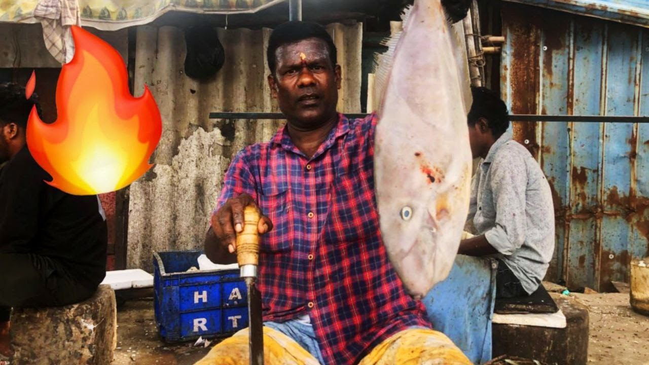 KASIMEDU🔥SERUPPU FISH 🐟CUTTING VIDEO💥 #kasimeduselvam #fishcutting # ...