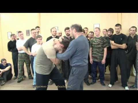 Рукопашь. О скоростях (Александр Шевцов)