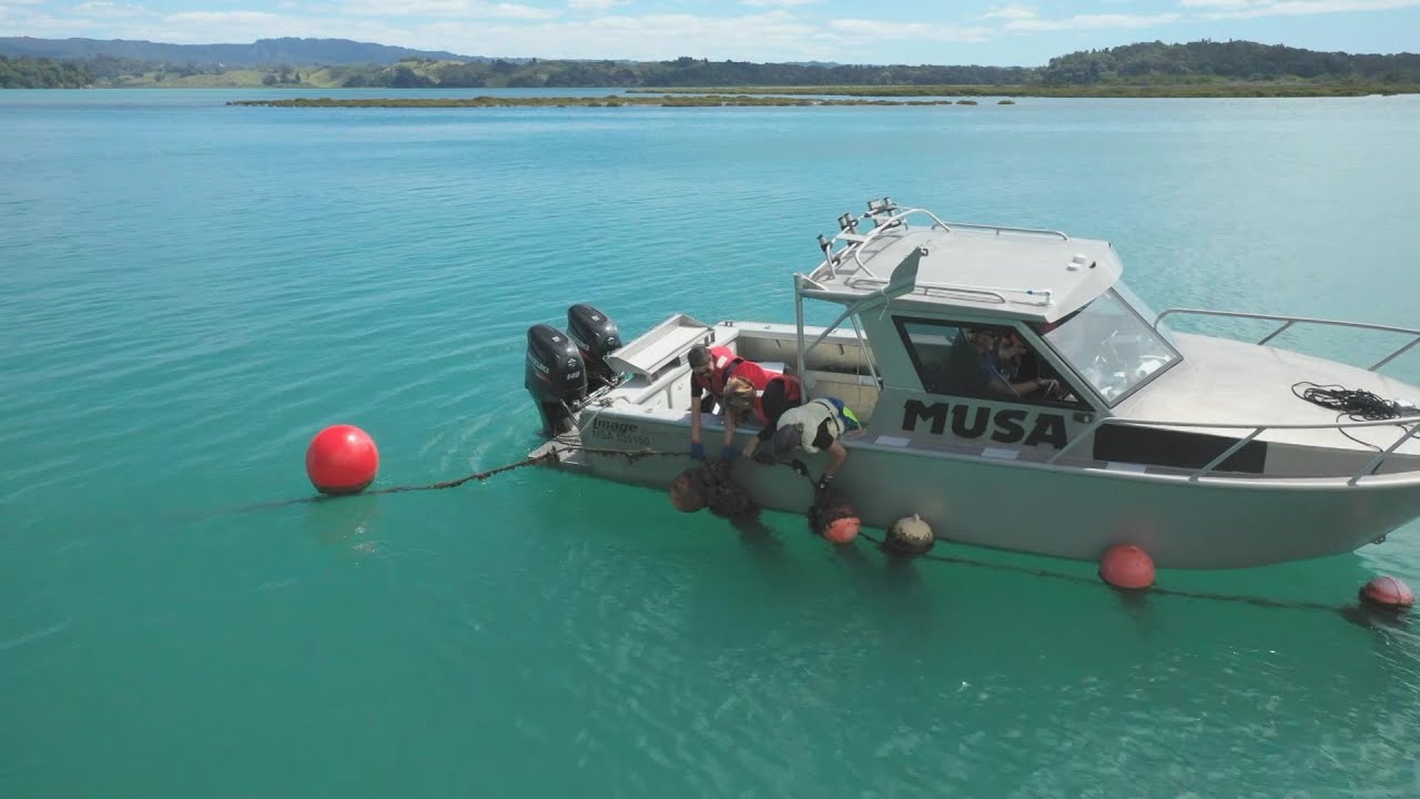 Mussel Ropes - YouTube