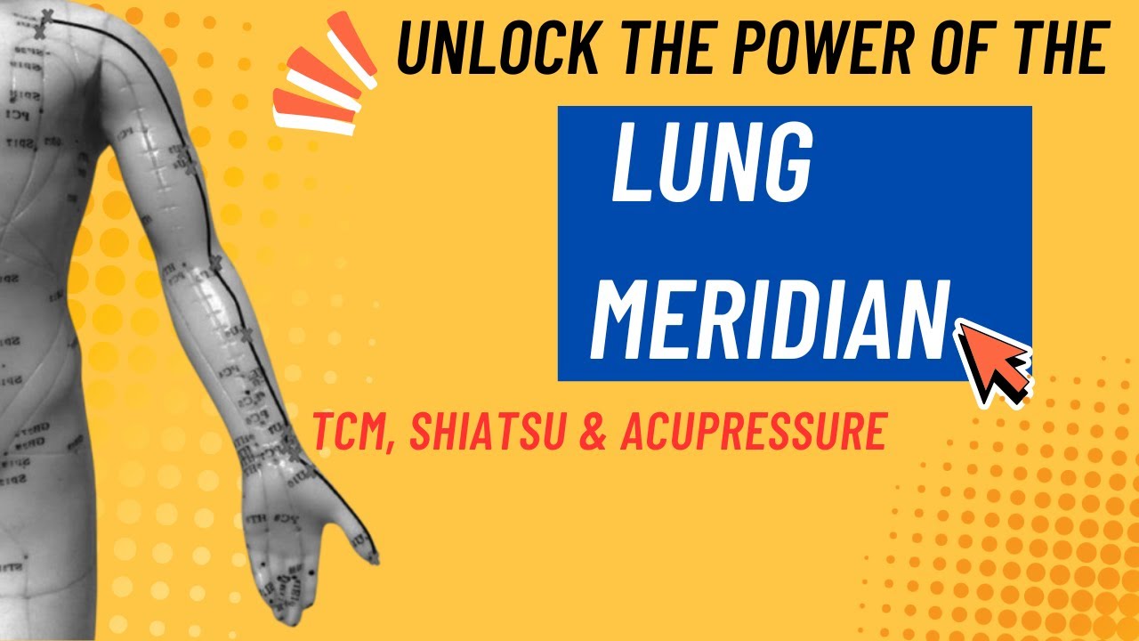 🔴 Unlock the Power of the Lung Meridian | Essential Guide for TCM ...