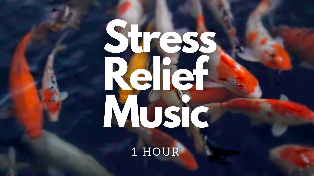 1 Hour Relaxing Music For Stress Relief | Peaceful Koi Fish Pond Ambience - YouTube