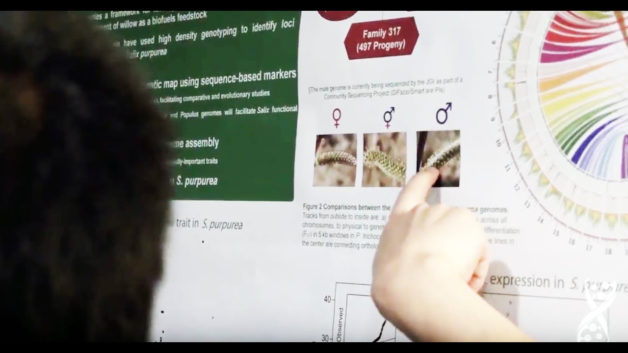 2018 DOE JGI Genomics of Energy & Environment Meeting (Promo) - YouTube