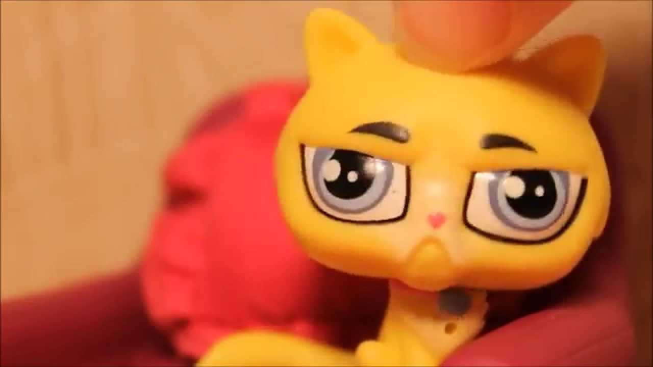 LPS: Advice with Grumpy Cat - YouTube