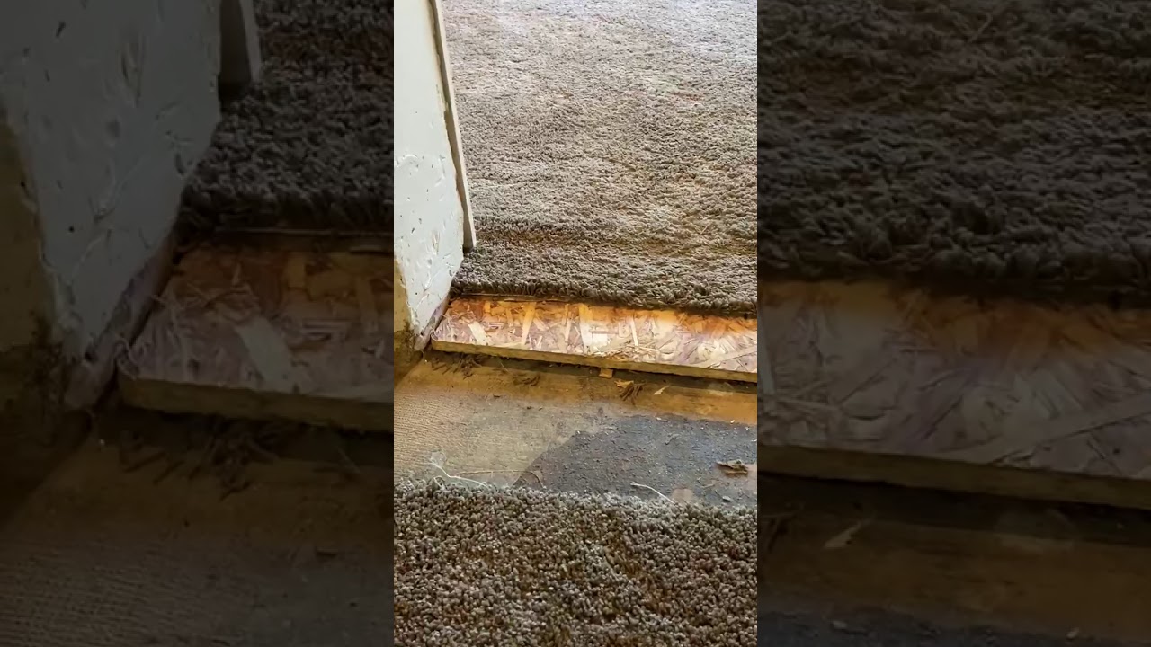 Home Inspection - Basement flooring install - YouTube