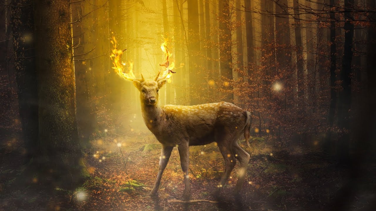 Peaceful Relaxing Instrumental Music Calm Meditation Music Magical