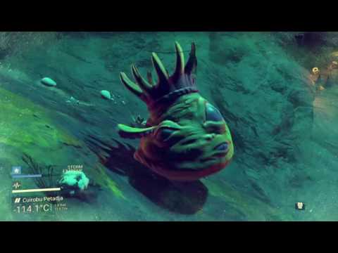 NMS Hentai Monster