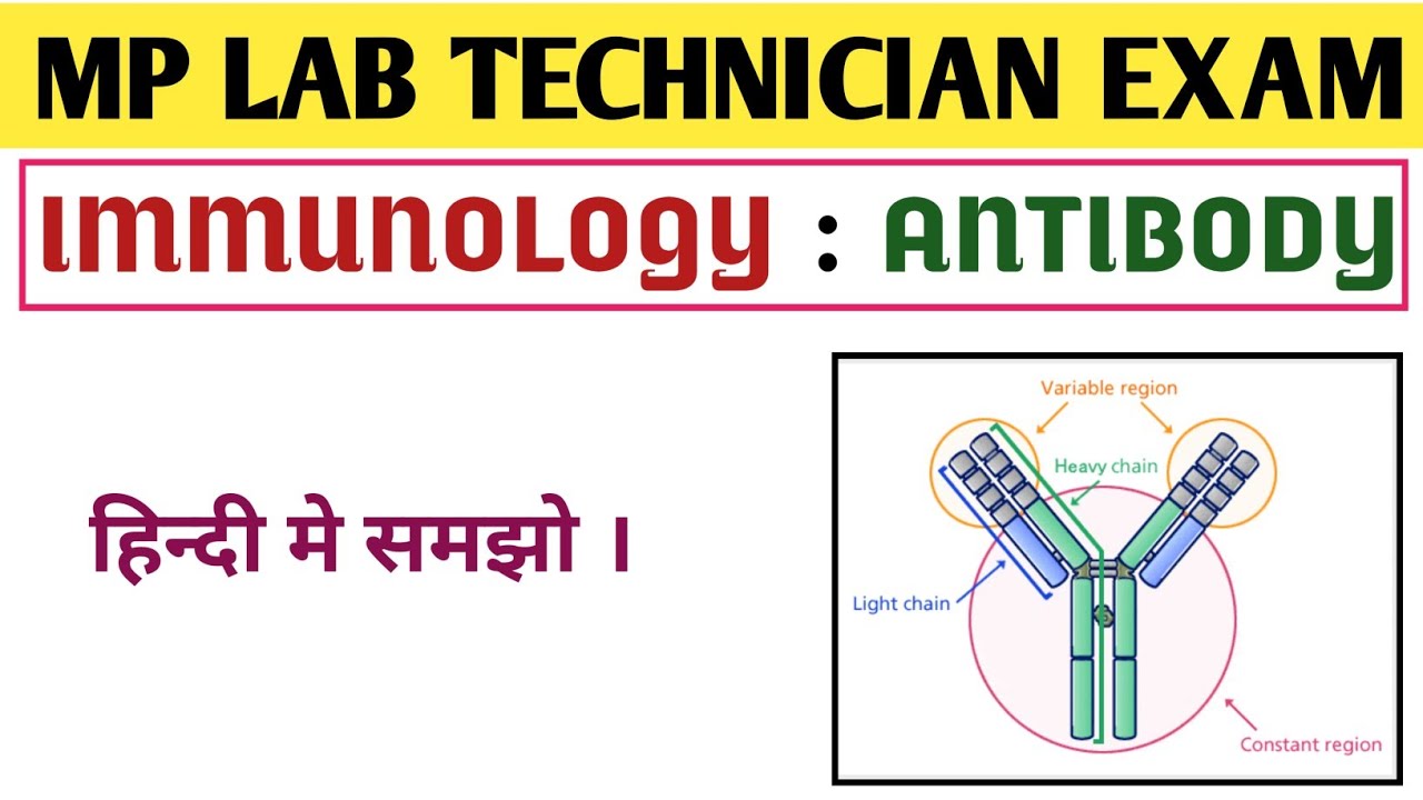 Immunology : Antibody, its type & Properties ll For MP Lab ll Odisha ...
