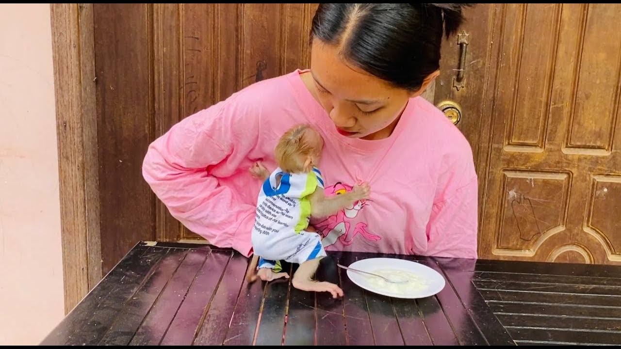 Jasmine C..yii Wan’t Join To Eat Snack With Daq - YouTube