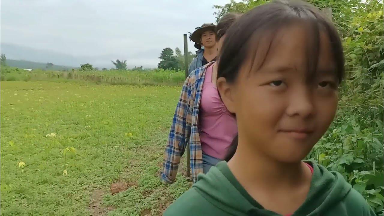 hnub no mus ntxiv ntoo yas nawb - YouTube