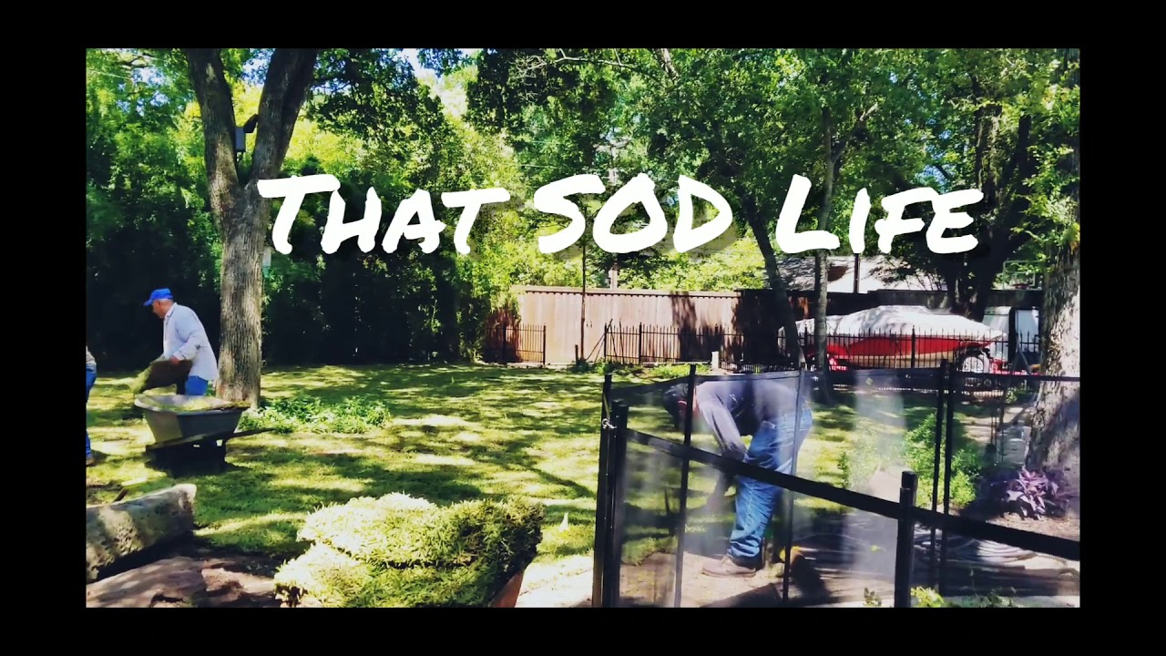 SOD Life - YouTube