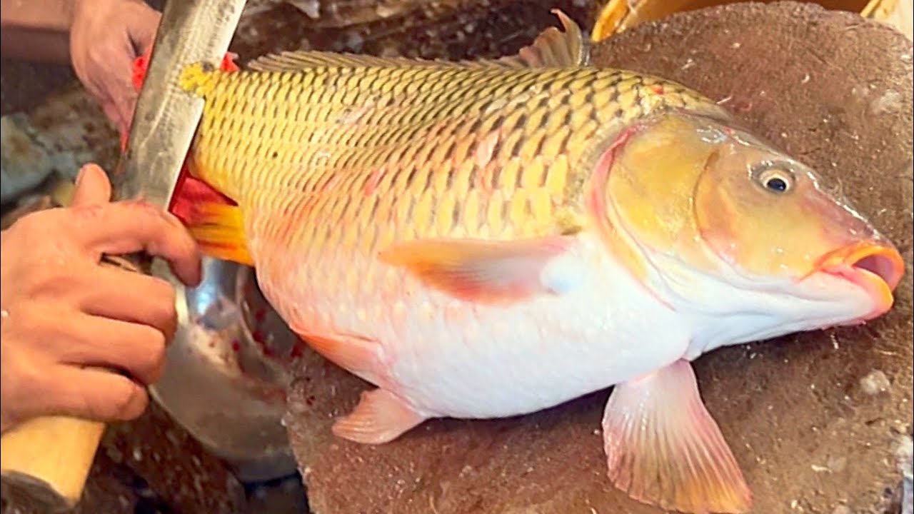 Amazing Live Carp Fish Cutting In Bangladesh Fish Market | Fish Cutting ...