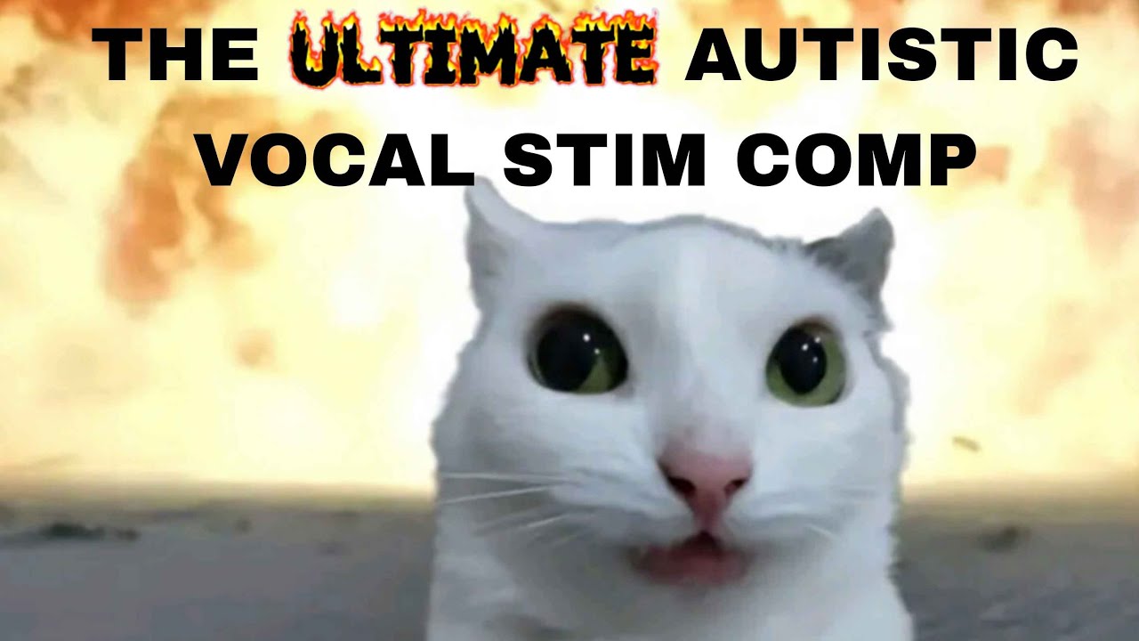 The ULTIMATE Autistic Vocal Stim Compilation - YouTube