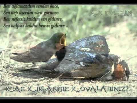 süper aşk şarkısı stran kurdi harika kürtçe klipler @ MEHMET ALİ ARSLAN Videos