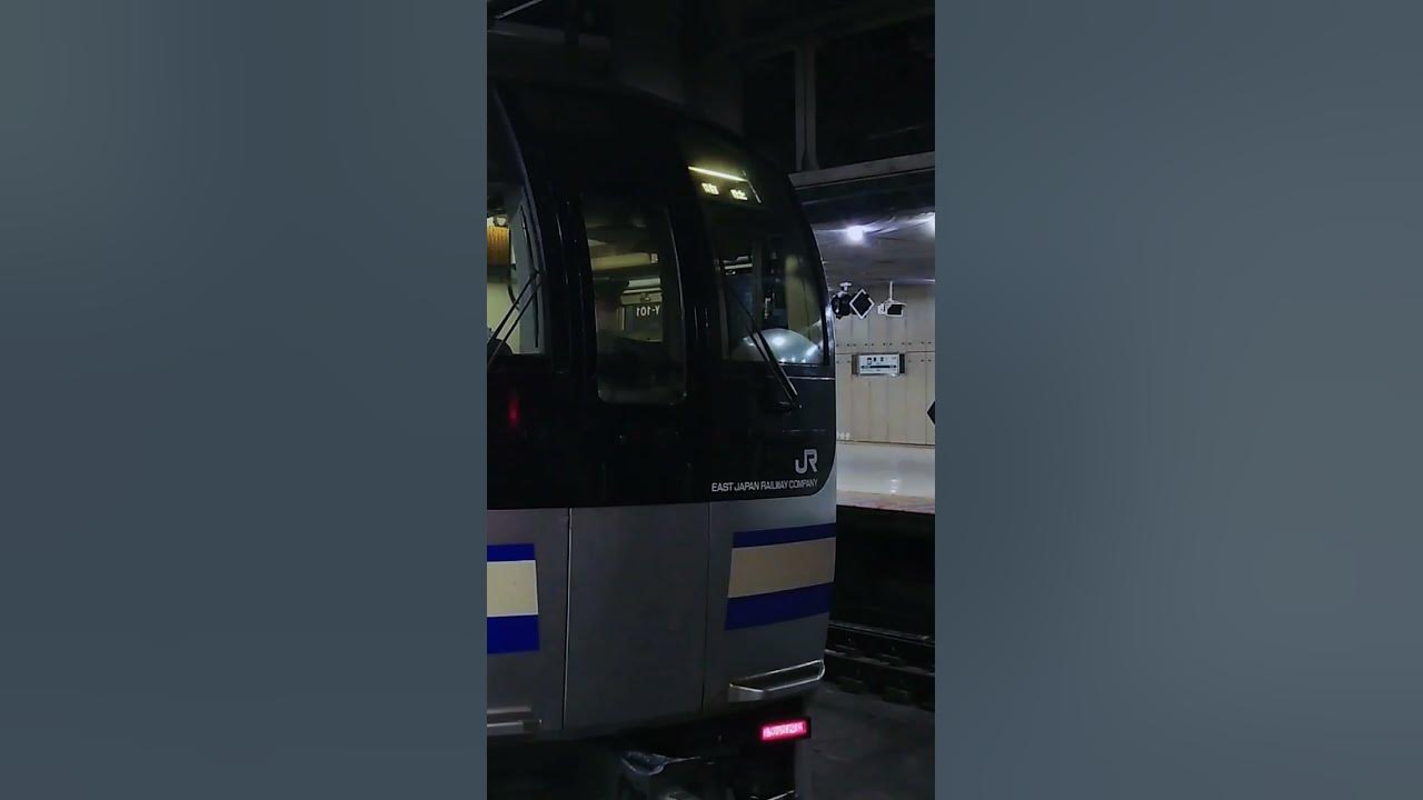 (short版)E217系Y-101編成 幕回し - YouTube