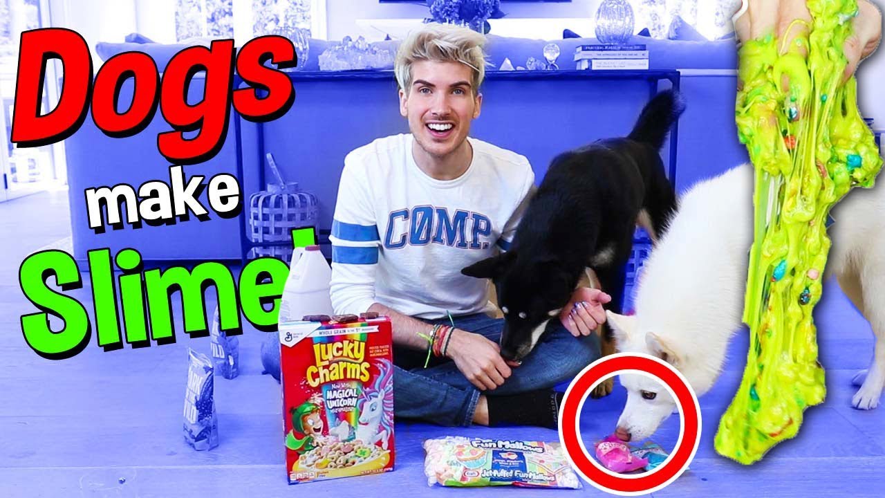 Dogs Pick My Slime Ingredients! - YouTube