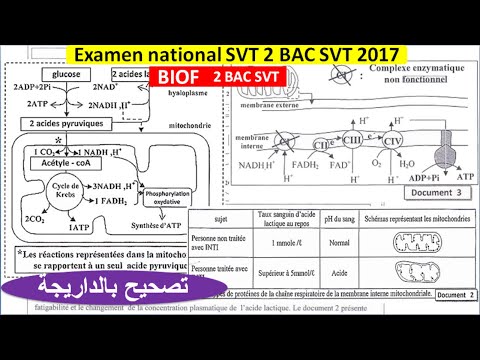 Examen national svt 2 bac svt 2017 option français - YouTube