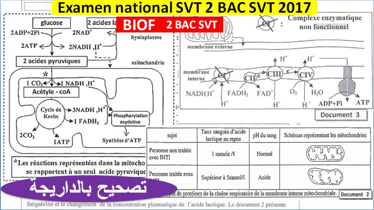 Examen national svt 2 bac svt 2017 option français - YouTube