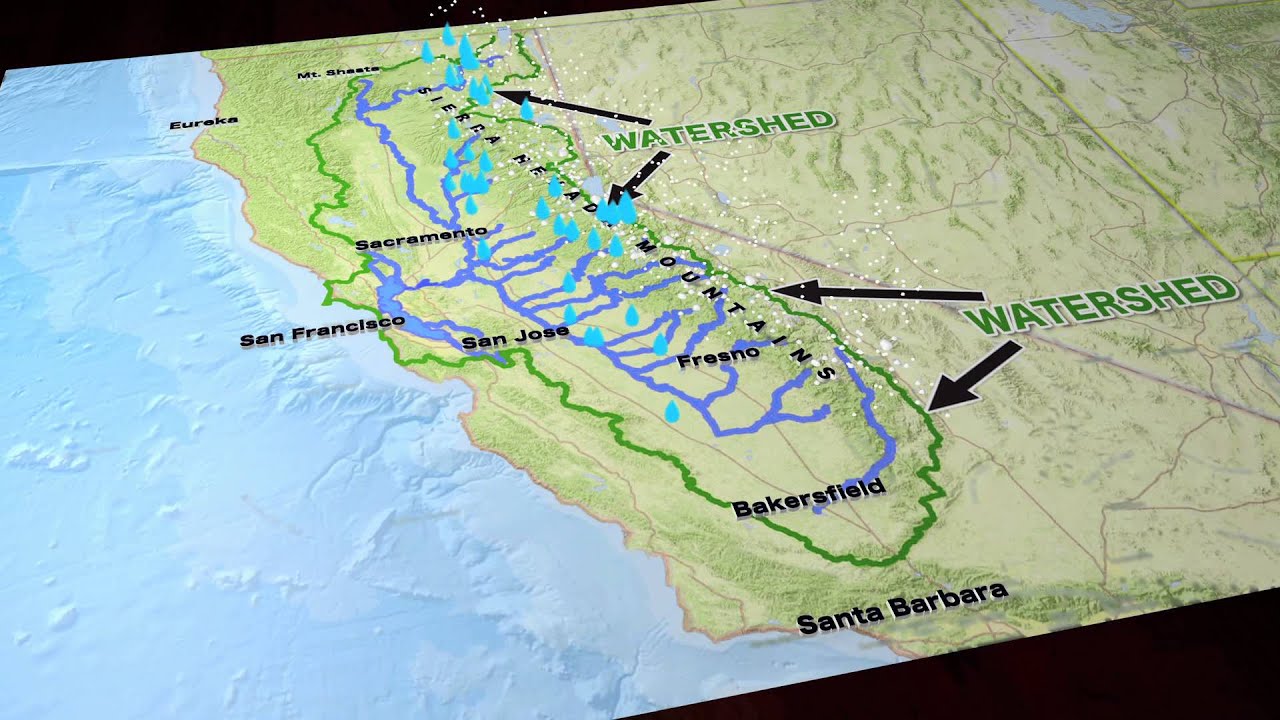 watershed animation web) - YouTube
