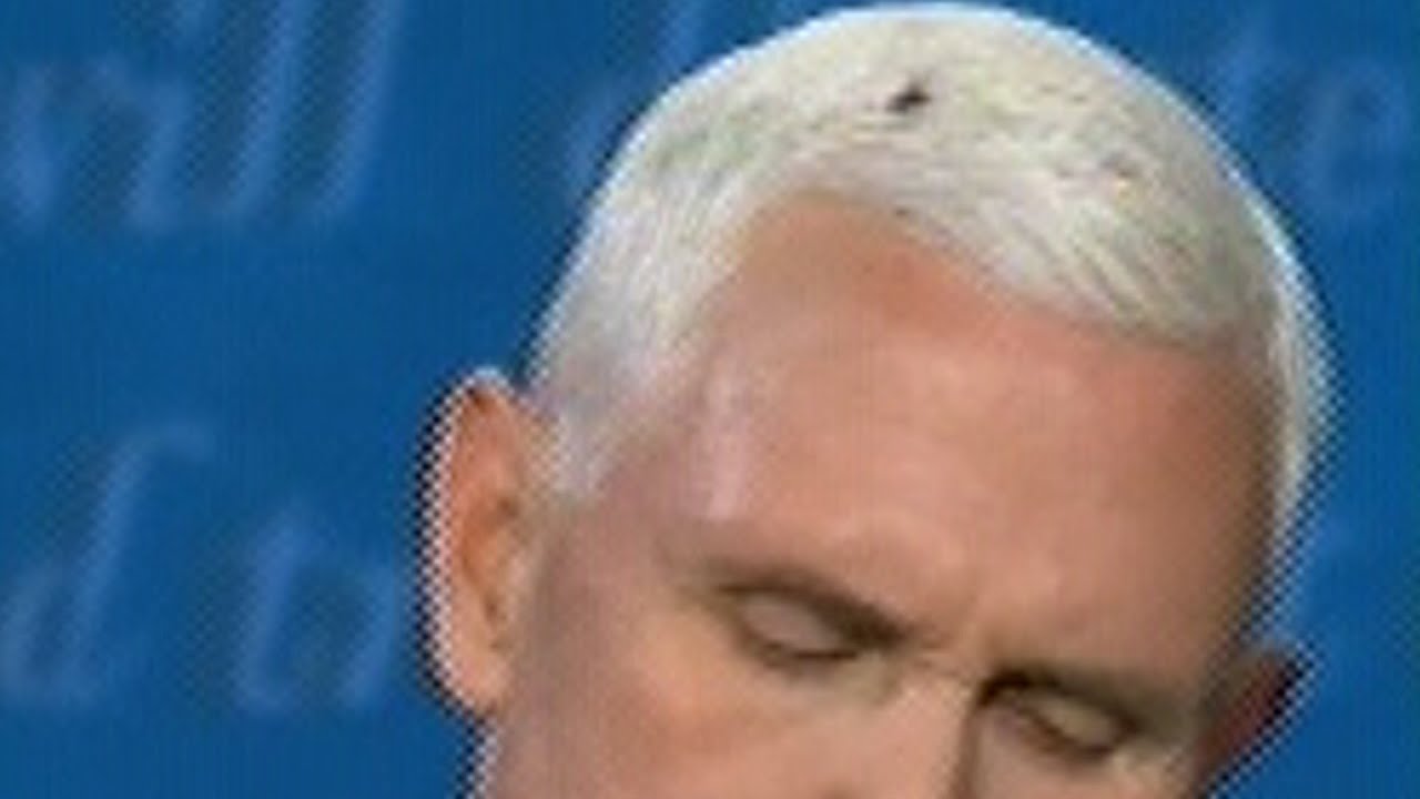 Fly Lands On Mike Pence Head And Stays There For 2 Minutes During 2020 ...