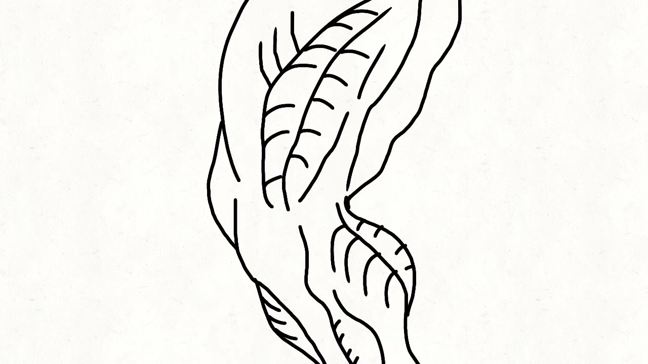 Garou Transformation (Rough animation af) @AniMatt - YouTube