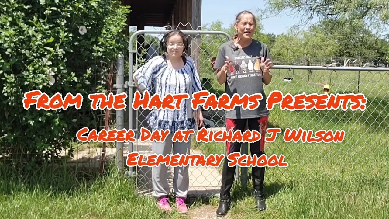 Career Day at Richard J Wilson Elementary School 5/10/24 - YouTube