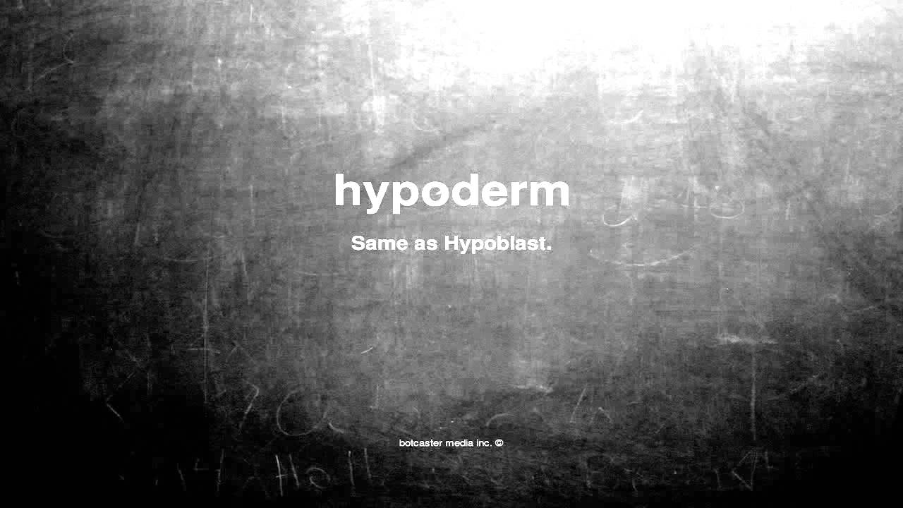 What does hypoderm mean - YouTube