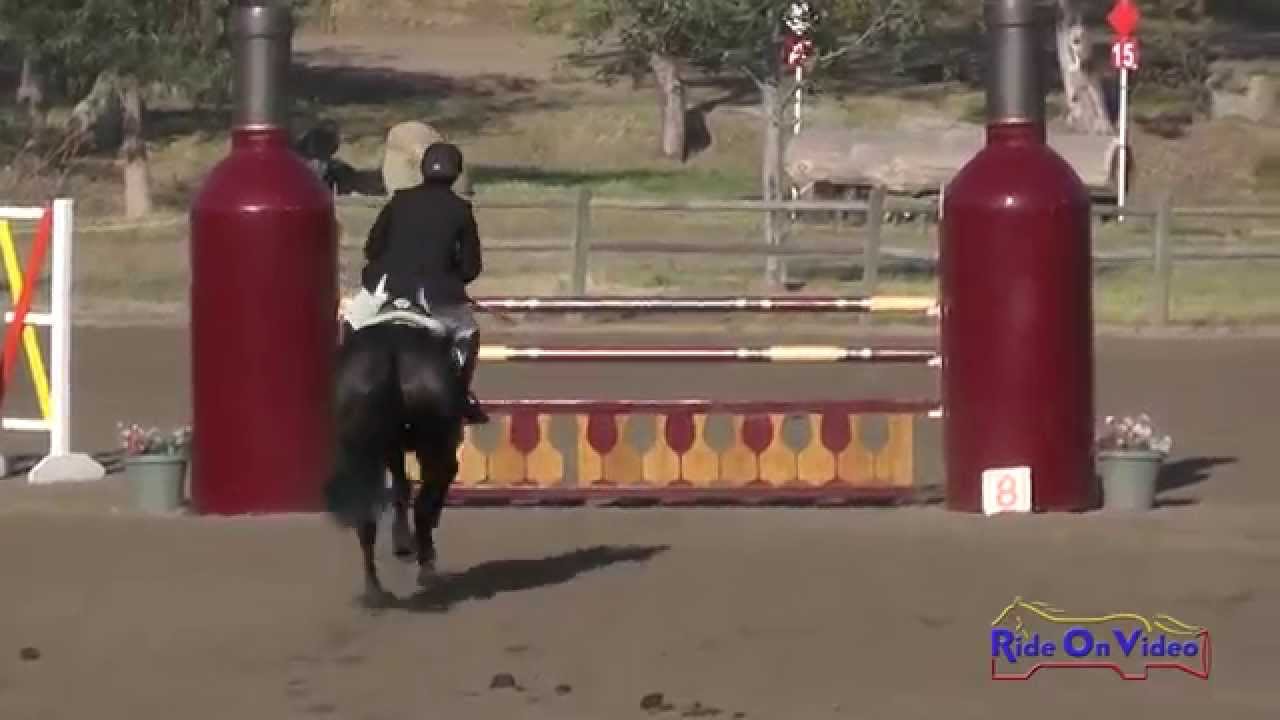 003S John Michael Durr on Espirit De La Danse CIC3* Show Jumping Galway ...