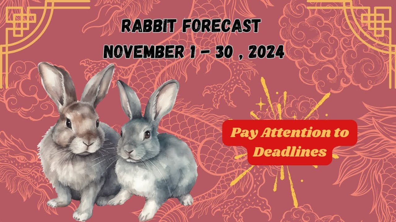 🐰 Rabbit Forecast November 1 - 30, 2024 #chineseastrology - YouTube
