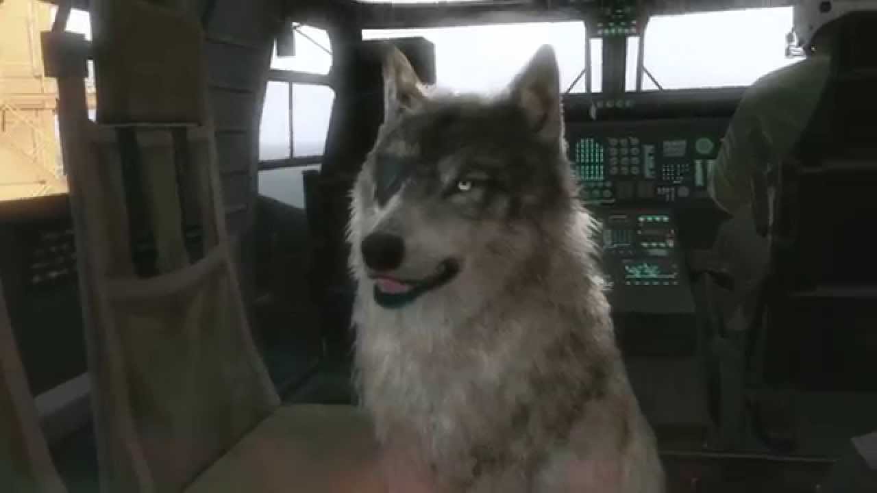 Recruited D-Dog - Metal Gear Solid V: The Phantom Pain - YouTube