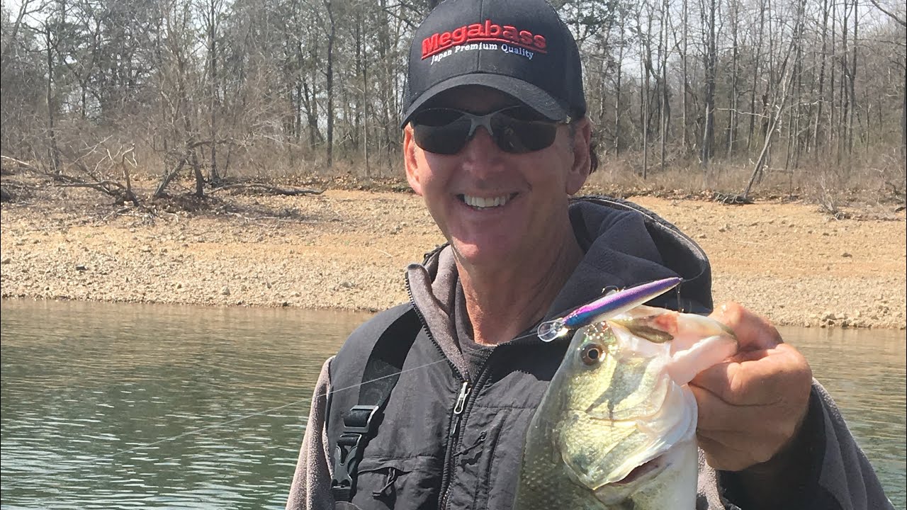 How To Catch Lots Of Shallow Bass In February… - YouTube