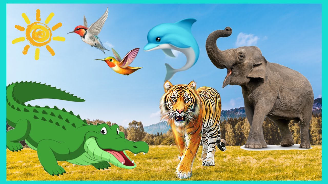 Animals Name And Sound Lean Bird Species in English/ Roar animal’s ...