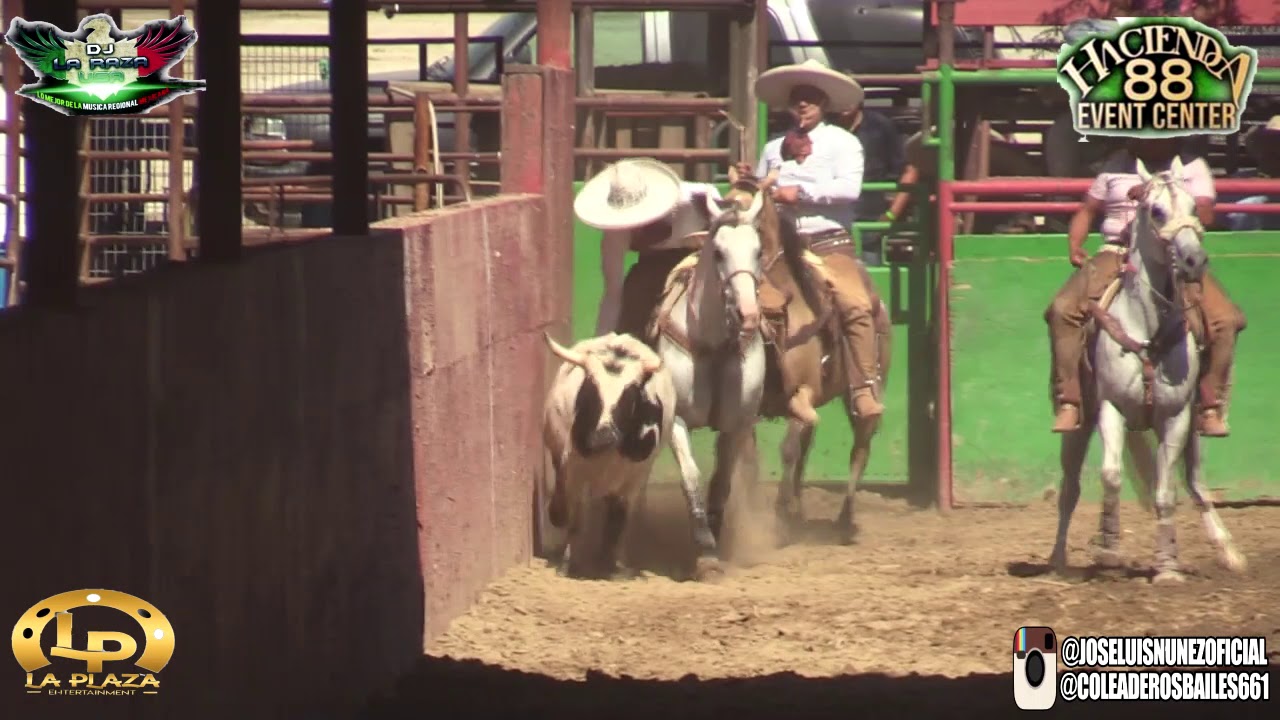 COLEADERAS DE PREMIO EN LA HACIENDA 88 EN MCFARLAN CA 20 DE JULIO 2019 - YouTube
