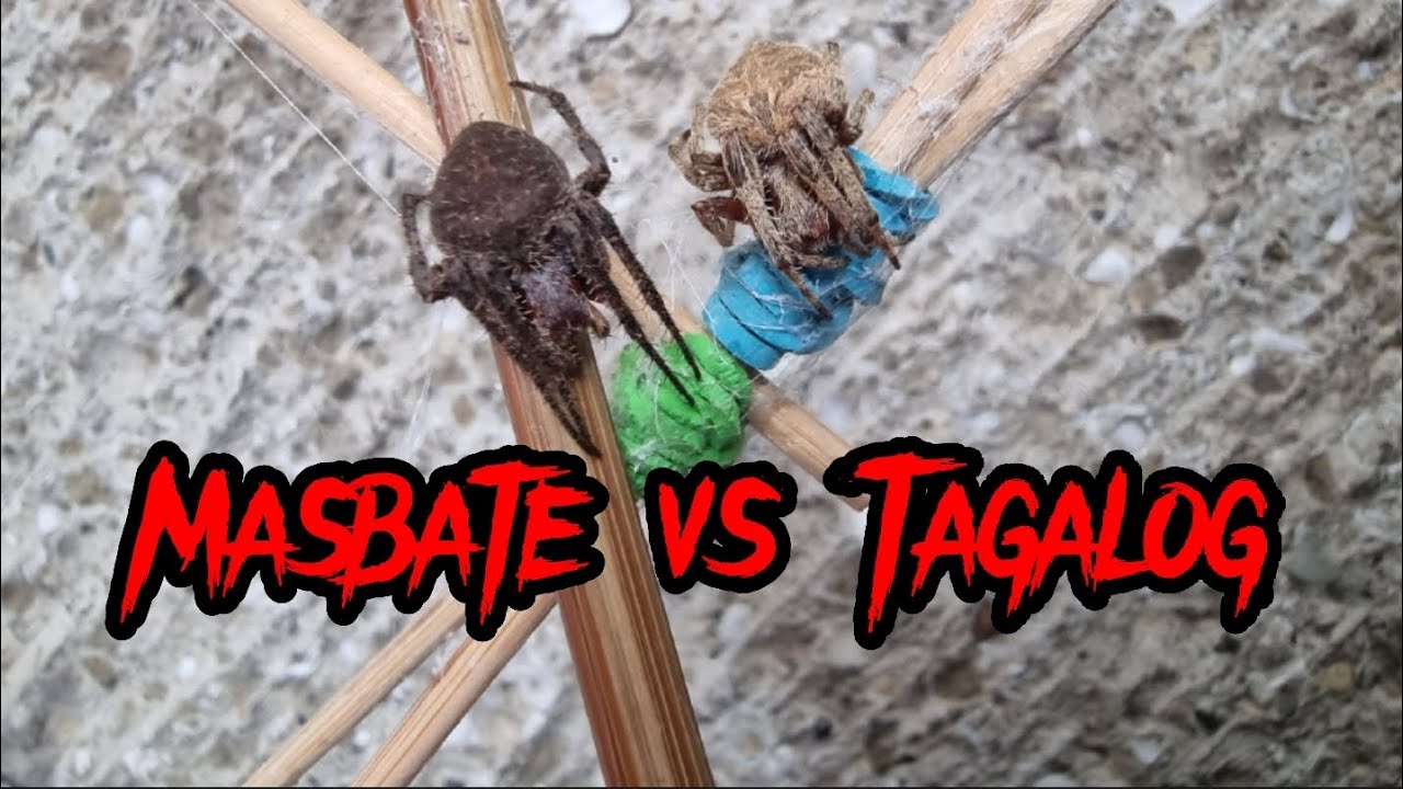 Pambihira sa Kapal ng Tagalog na ito - Makakapalag nga ba sa Masbate ...