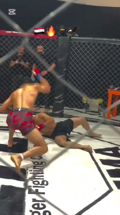 #mma مقاتل مصري🇪🇬🔥 #الاسكندرية - YouTube