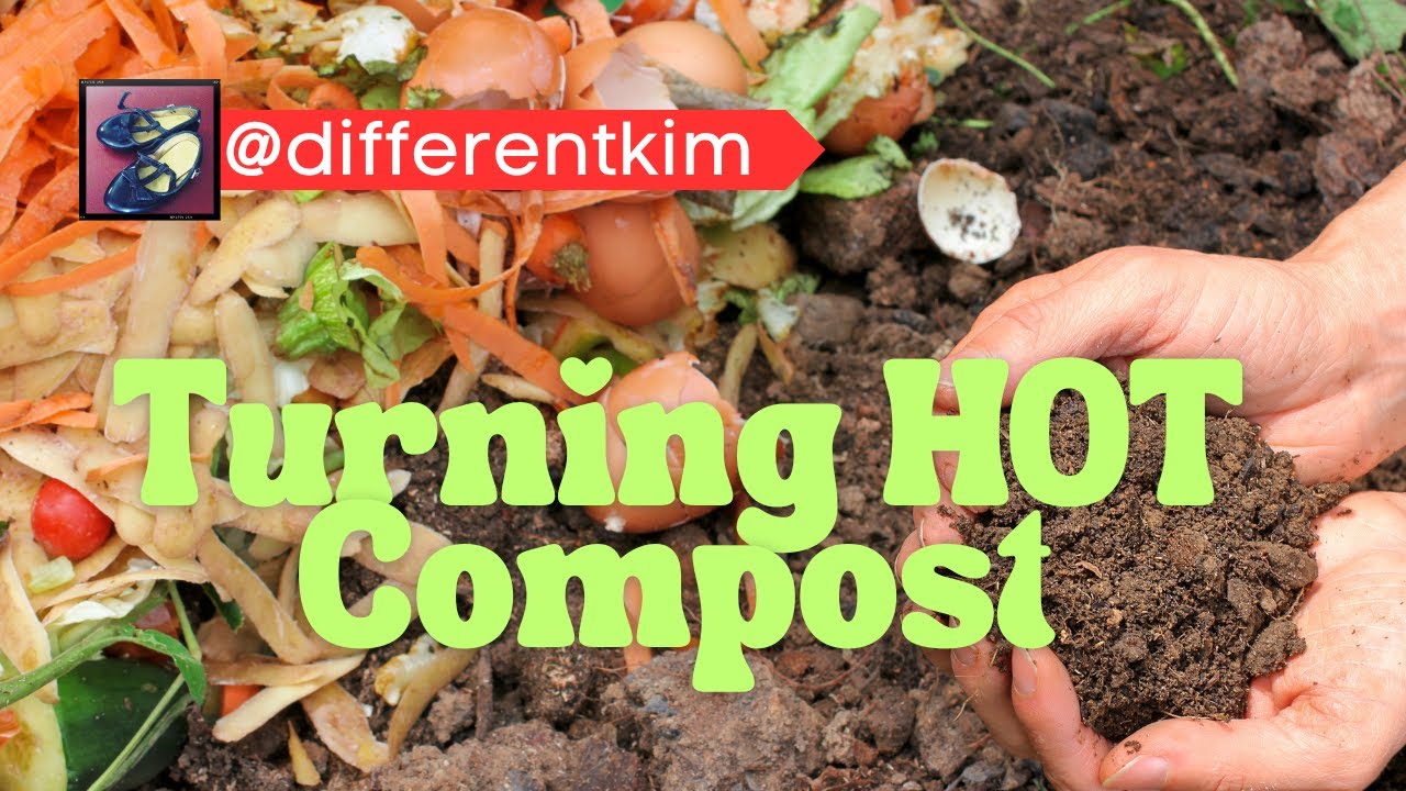 When To Turn A HOT COMPOST Pile - YouTube