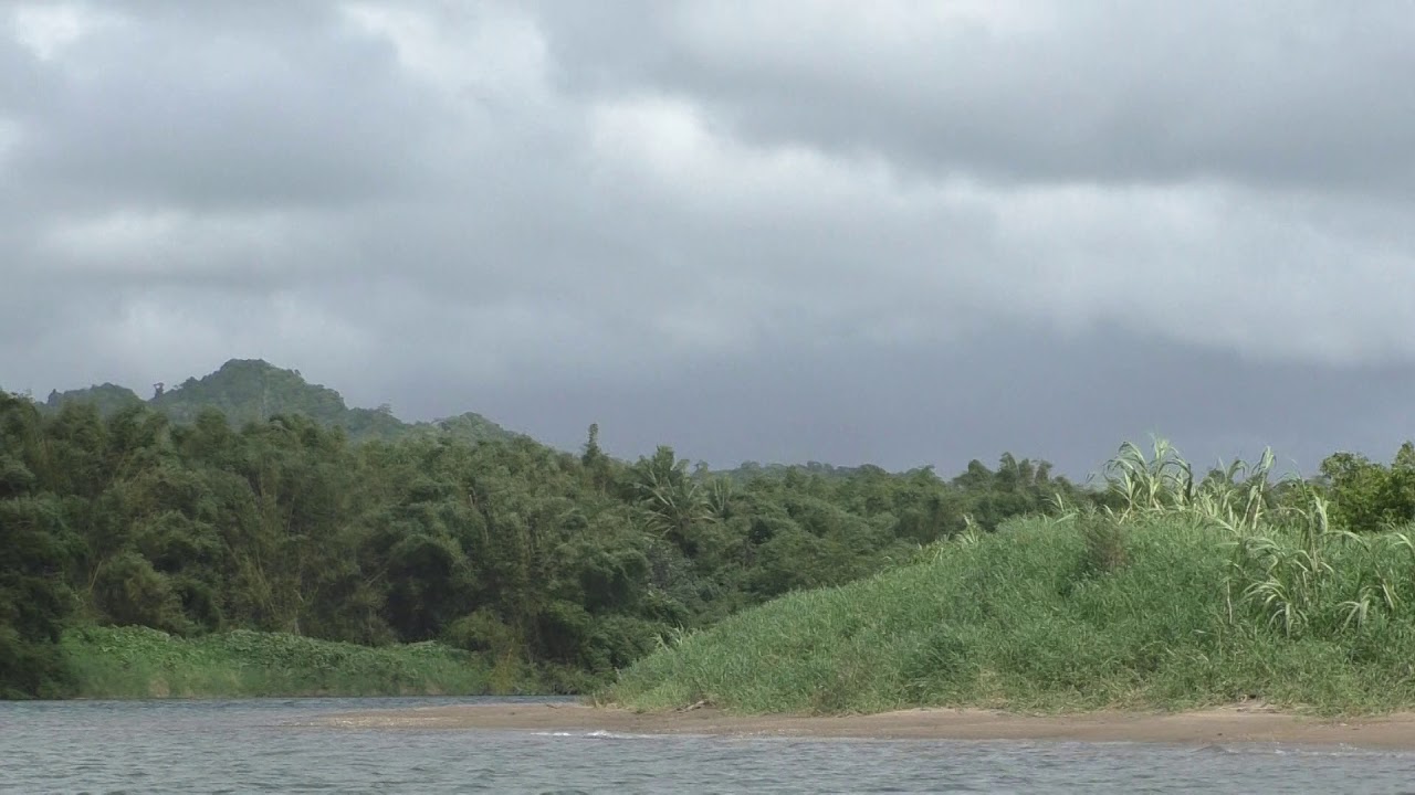 Suva, Fiji - Navua River by Longboat Tour #4 - Regent Cruise - 11 Jan ...
