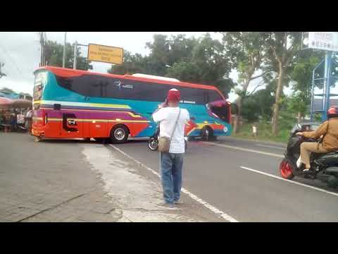 HUNTING DI EKA SARI - YouTube